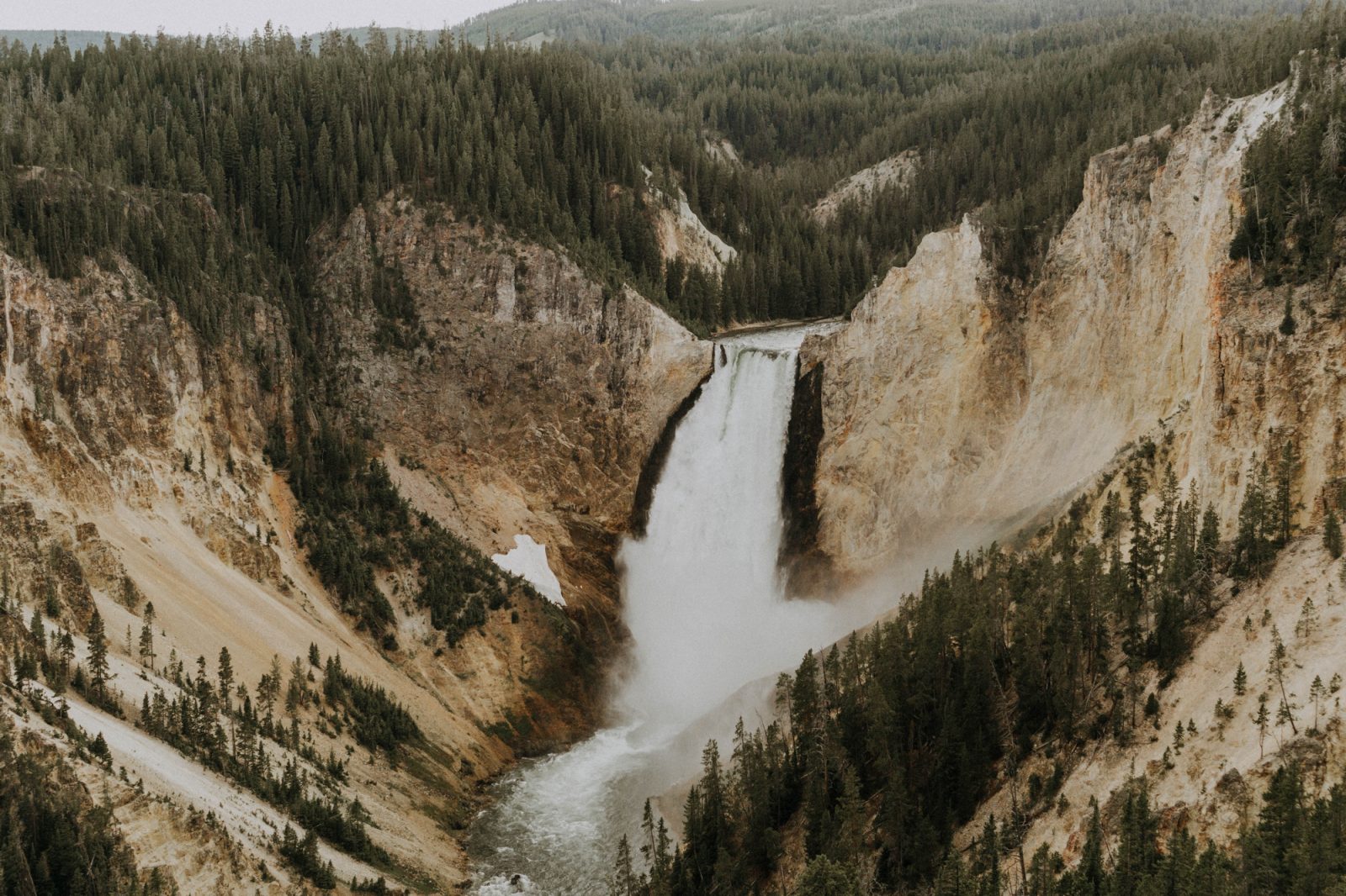 YELLOWSTONE // MONTANA | ilystudios.co